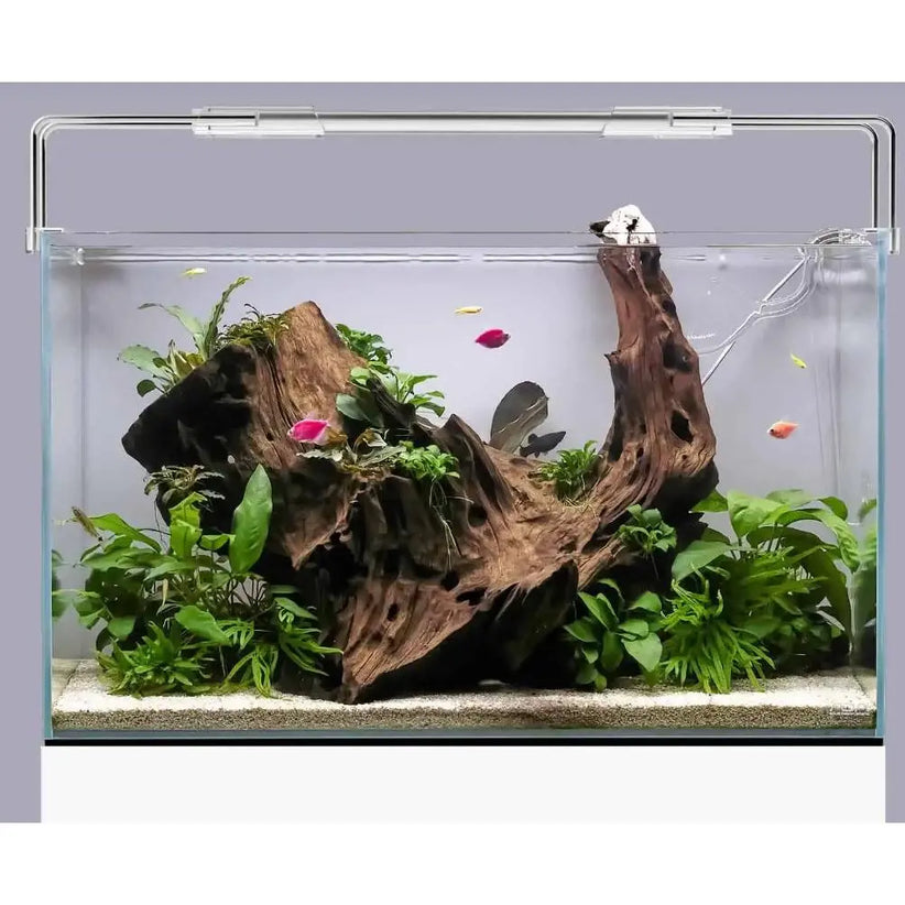 Canada's #1 Saltwater Aquarium Store: ReefSupplies.ca - 100k+ Orders ...