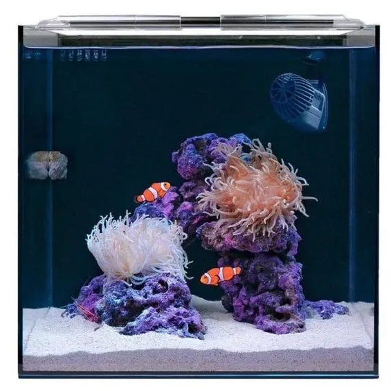 Canada's #1 Saltwater Aquarium Store: ReefSupplies.ca - 100k+ Orders ...
