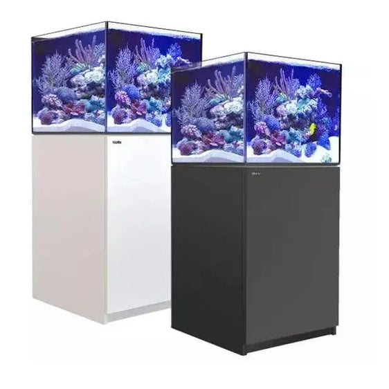 Canada's #1 Saltwater Aquarium Store: ReefSupplies.ca - 100k+ Orders ...