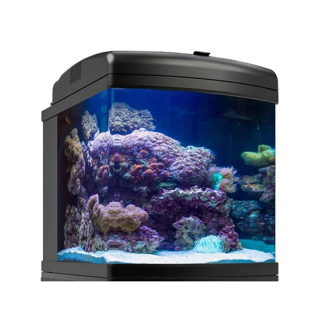 JBJ 28G Nano Cube Aquarium AIO w/ 40W LED Wifi — Reef Supplies Canada